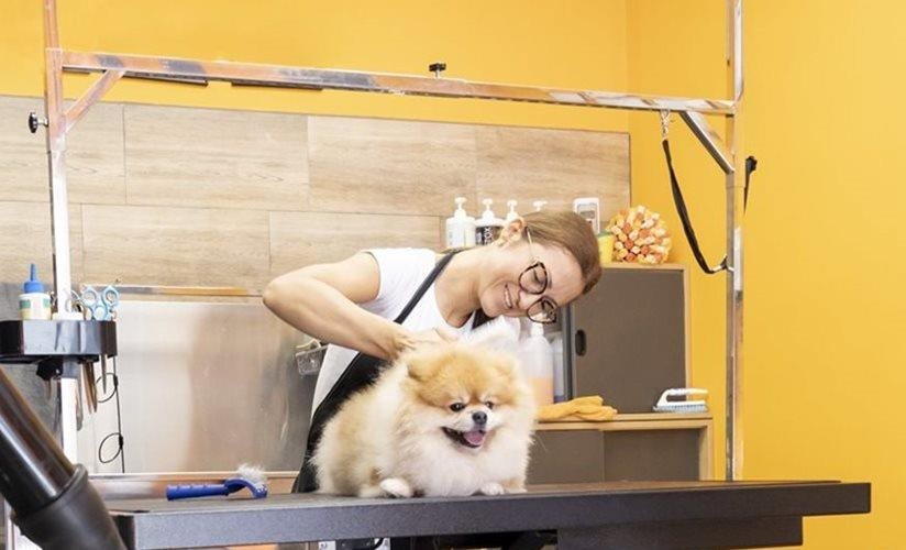 Partner Colorado Credit Union | Denver, CO Loans | Online Banking